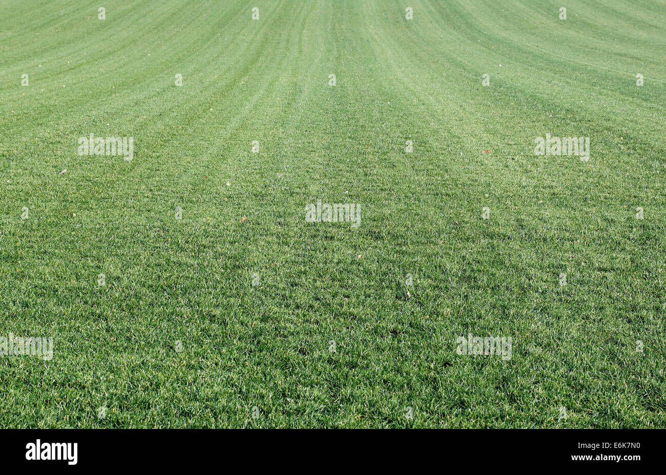 Turf picture hi-res stock photography and images - Alamy