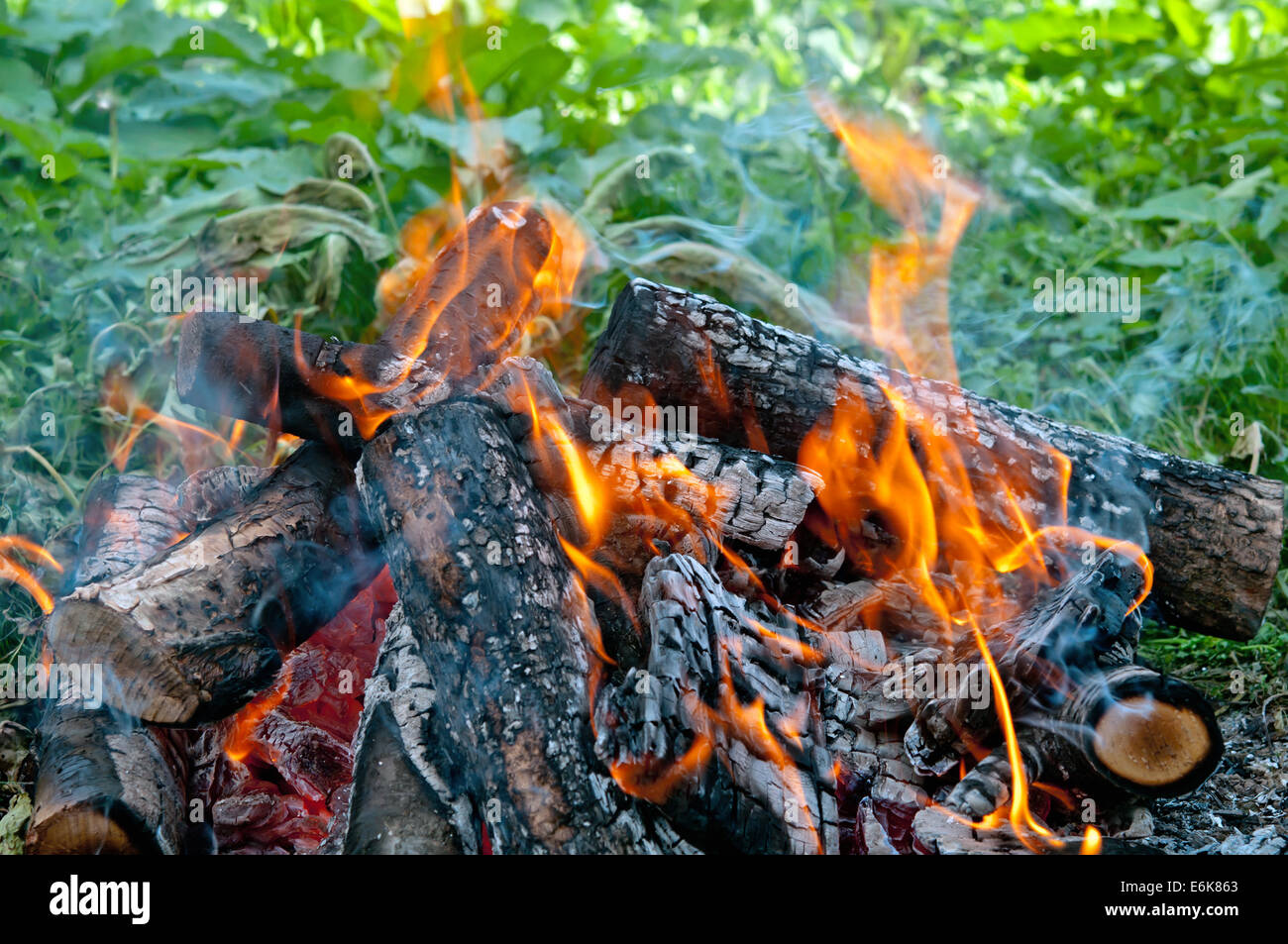 red wild fire close up Stock Photo - Alamy