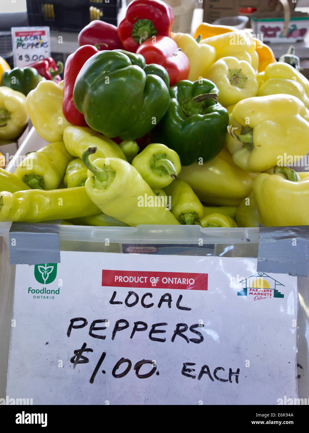 Closeup of fresh local peppers for sale at the St. Catharines farmer's ...