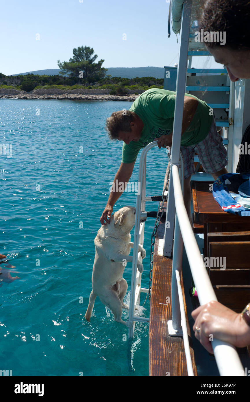 The skipper of a tourist day boat helps his dog aboard after it has ...