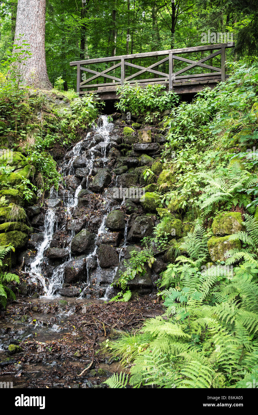Wooden bridge and waterfall with fern plants Stock Photo - Alamy
