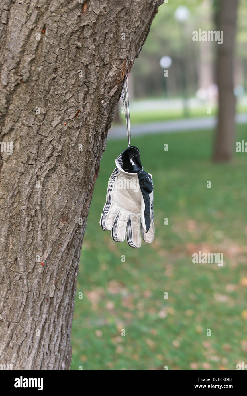 An old hanging glow abandoned on a tree Stock Photo - Alamy
