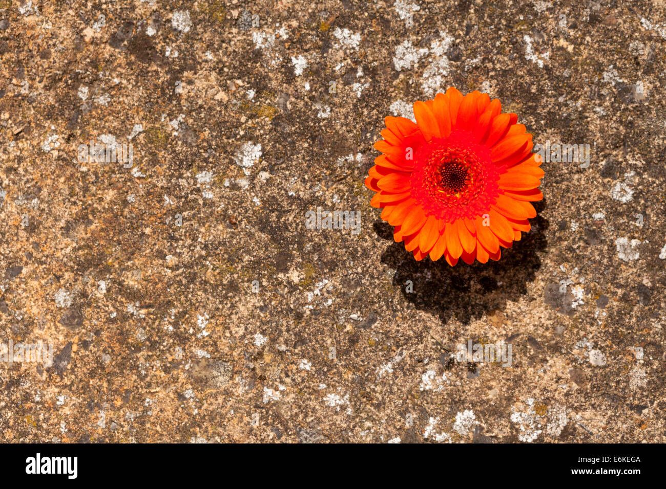 One red stone hi-res stock photography and images - Alamy