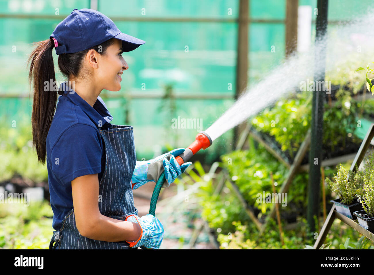 pretty female nursery worker watering plants in greenhouse Stock Photo ...