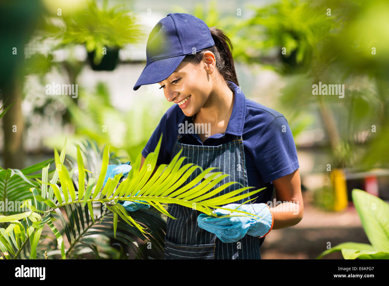 Female gardener working greenhouse hi-res stock photography and images ...