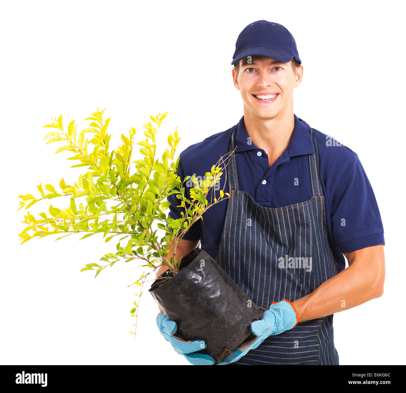 Gardener plant hi-res stock photography and images - Alamy