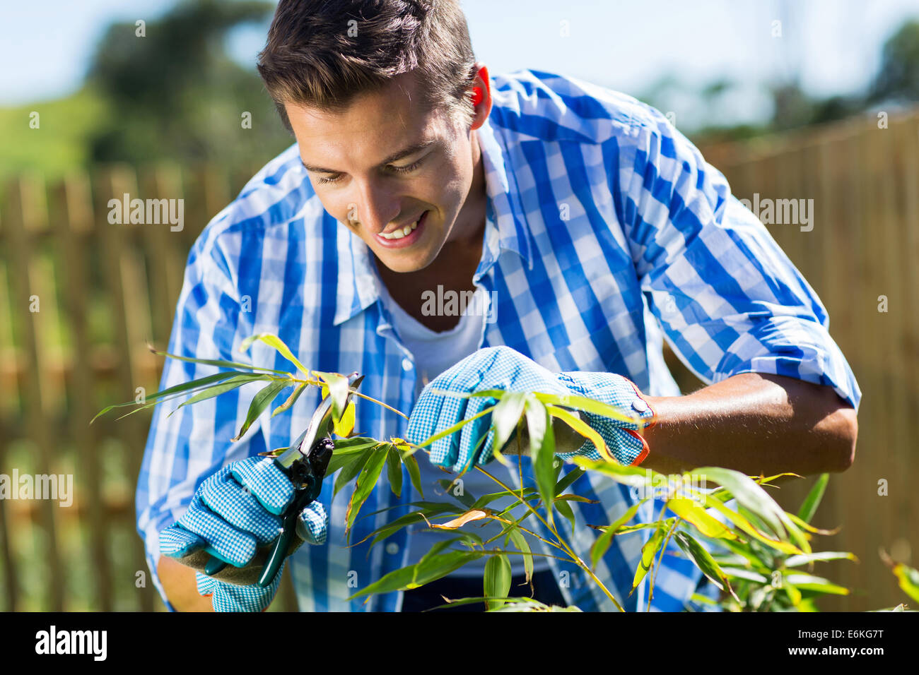 handsome young man pruning a plant in home garden Stock Photo - Alamy