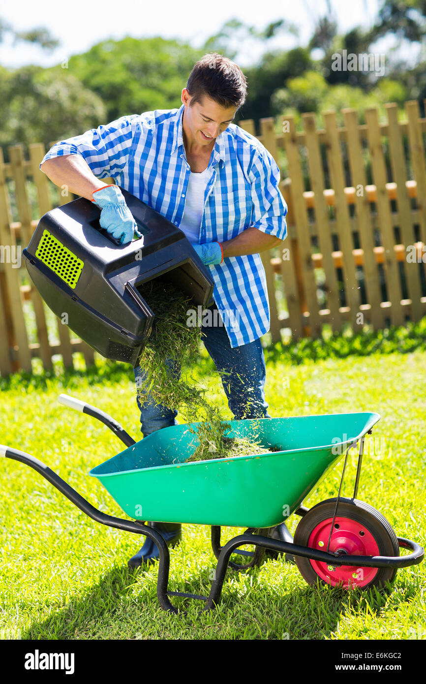 young man emptying lawnmower grass into a wheelbarrow after mowing ...