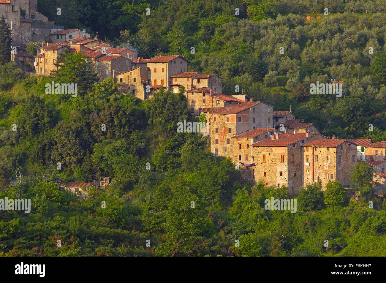 Collodi (tuscany) hi-res stock photography and images - Alamy