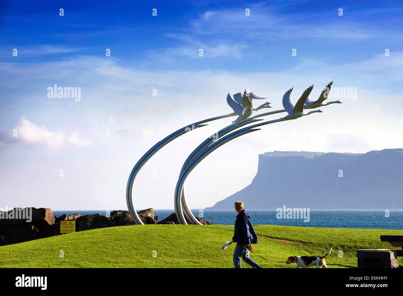 Leap of Faith, four Swans Sculpture, Ballycastle, North Coast, Northern ...