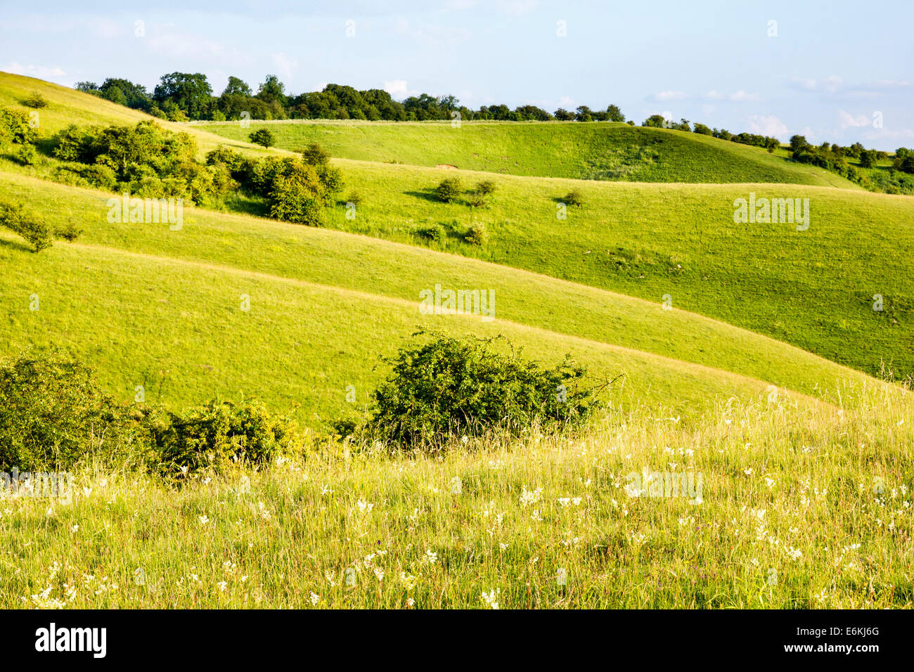 Chiltern Society High Resolution Stock Photography and Images - Alamy