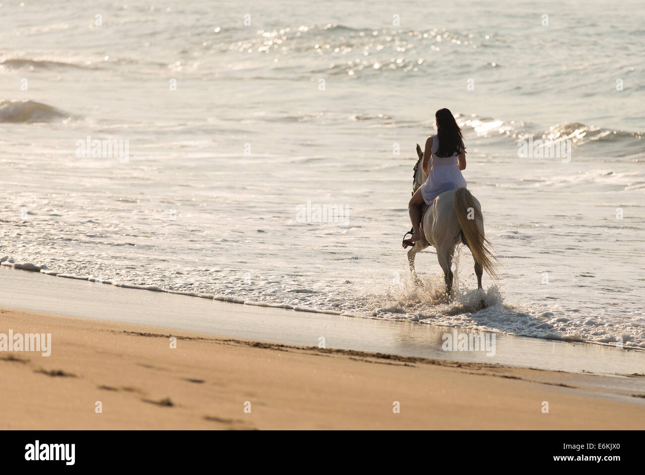 Ocean steed hi-res stock photography and images - Alamy