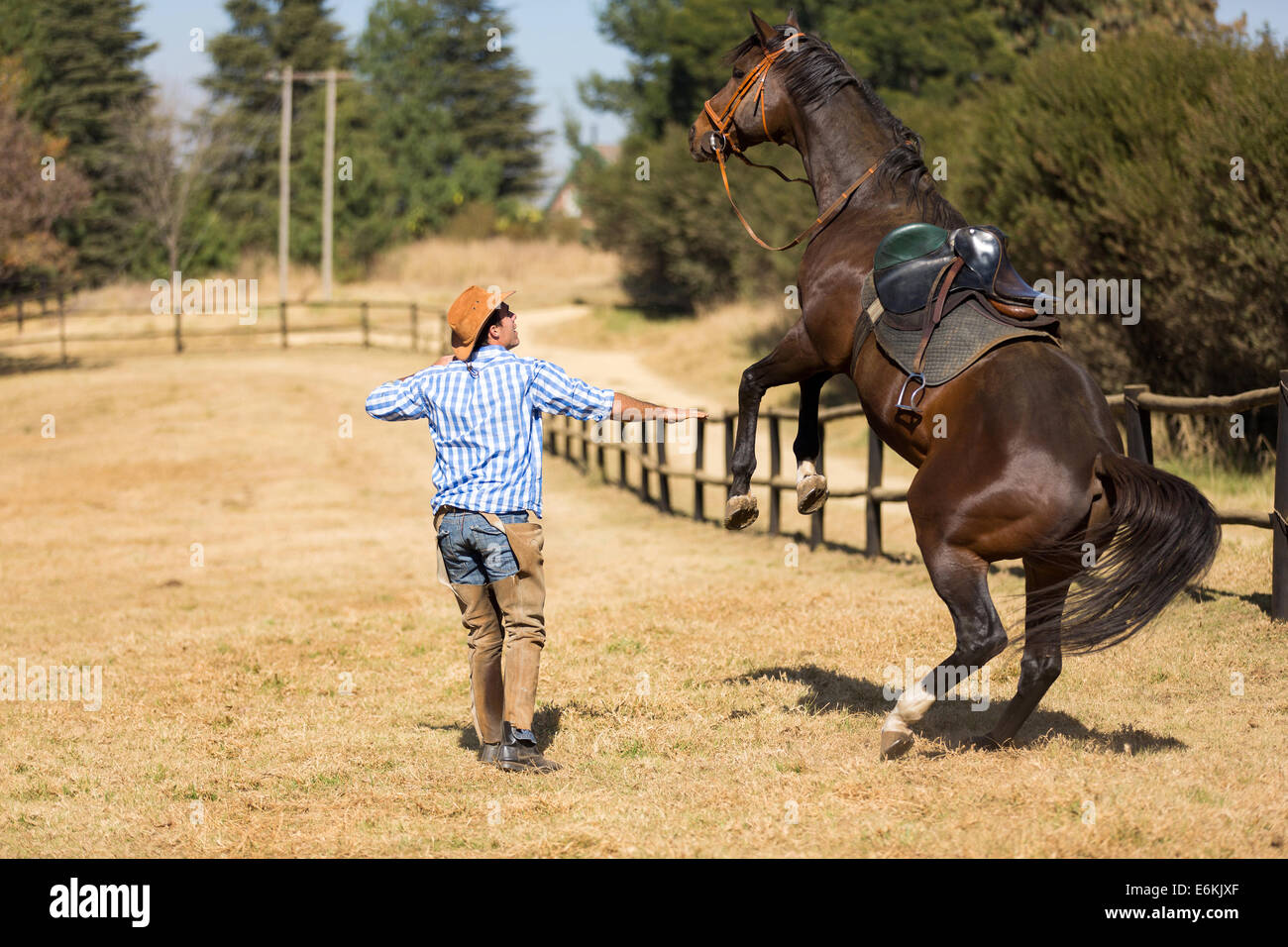 Taming a horse hi-res stock photography and images - Alamy