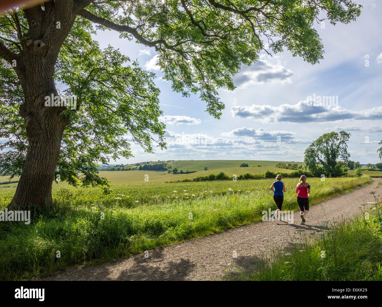 Nct walking running tree hi-res stock photography and images - Alamy