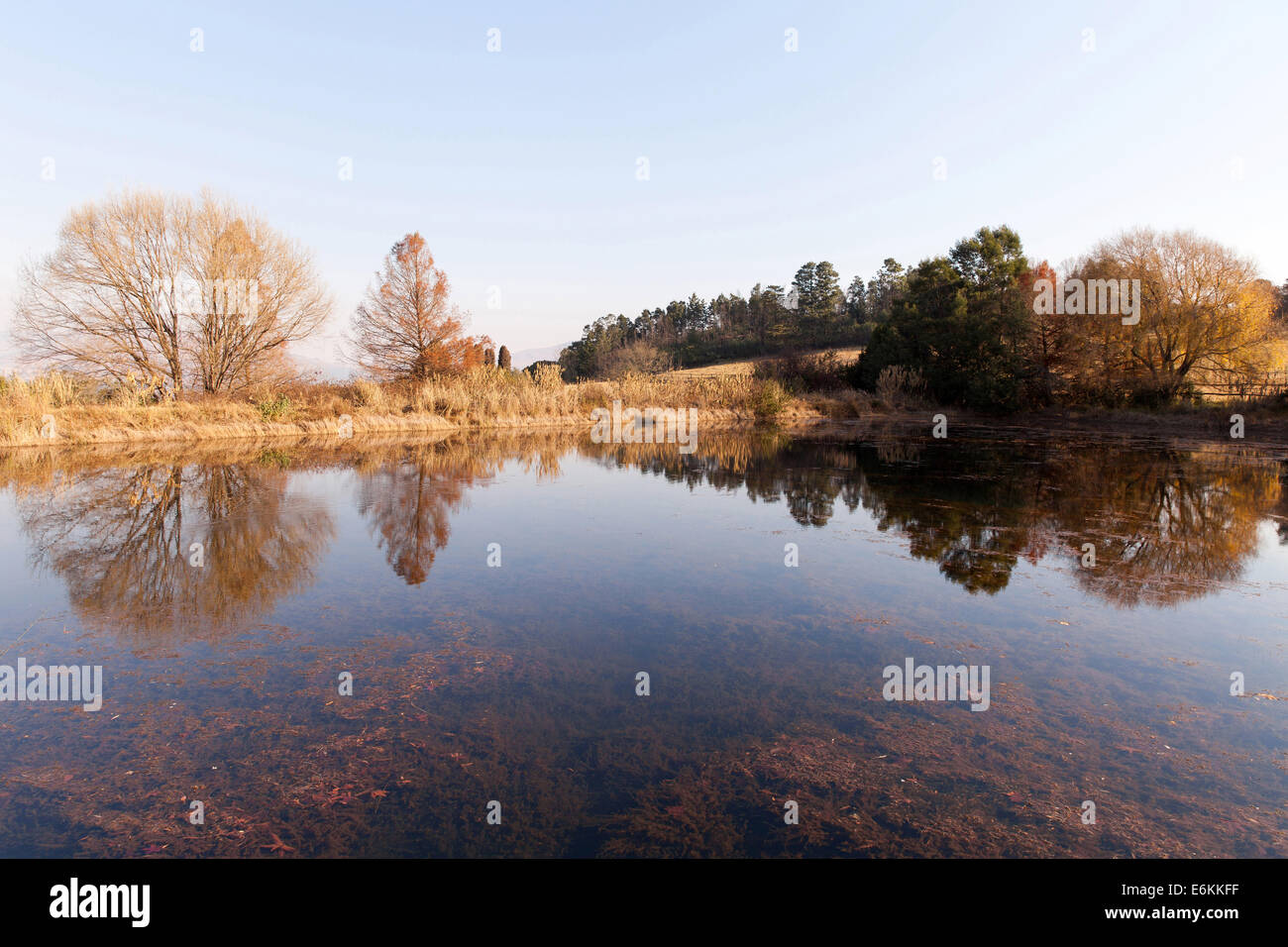 landscape of autumn pond and trees Stock Photo - Alamy