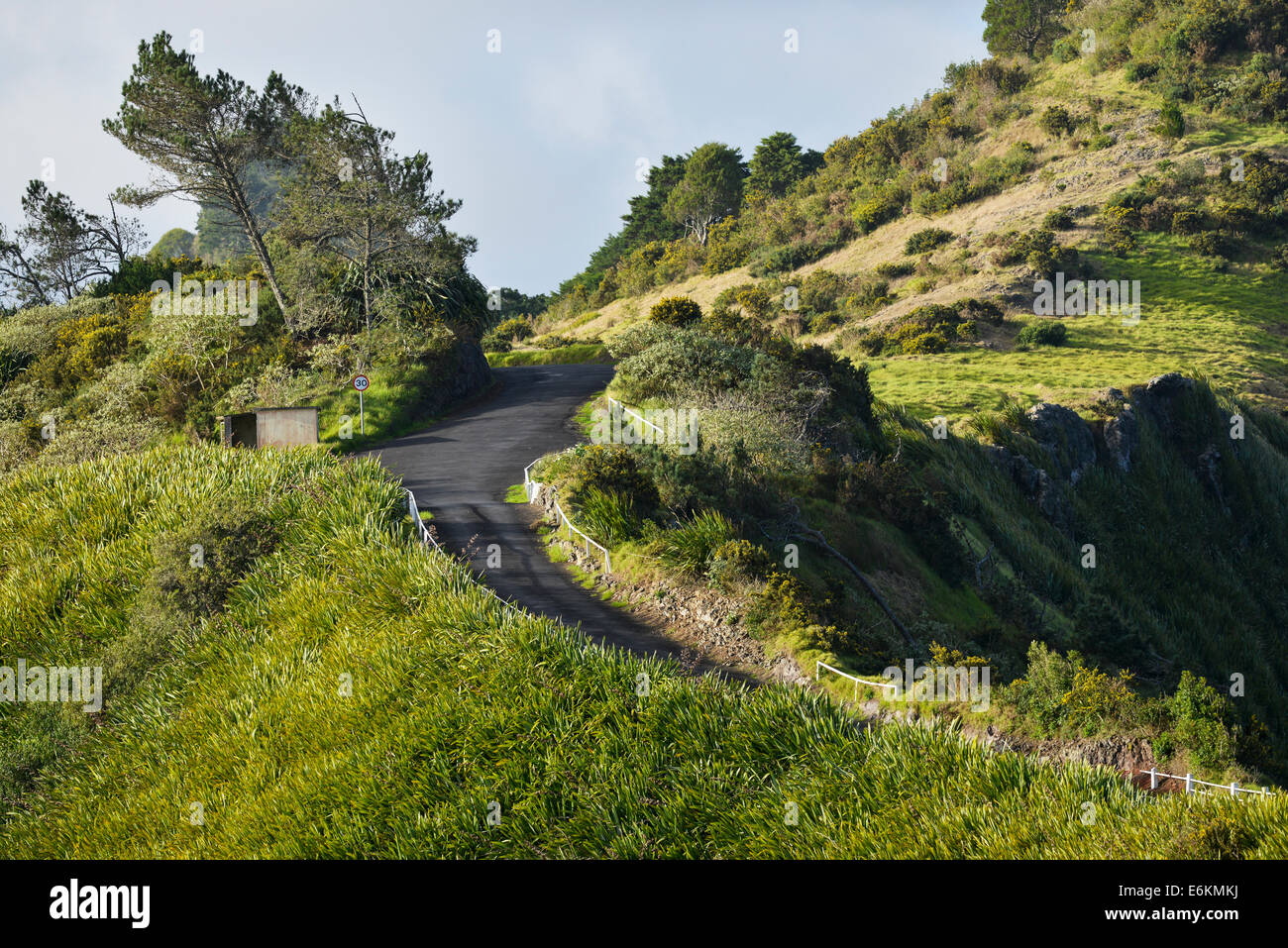 St Helena South Atlantic countryside view with the road to blue hill ...