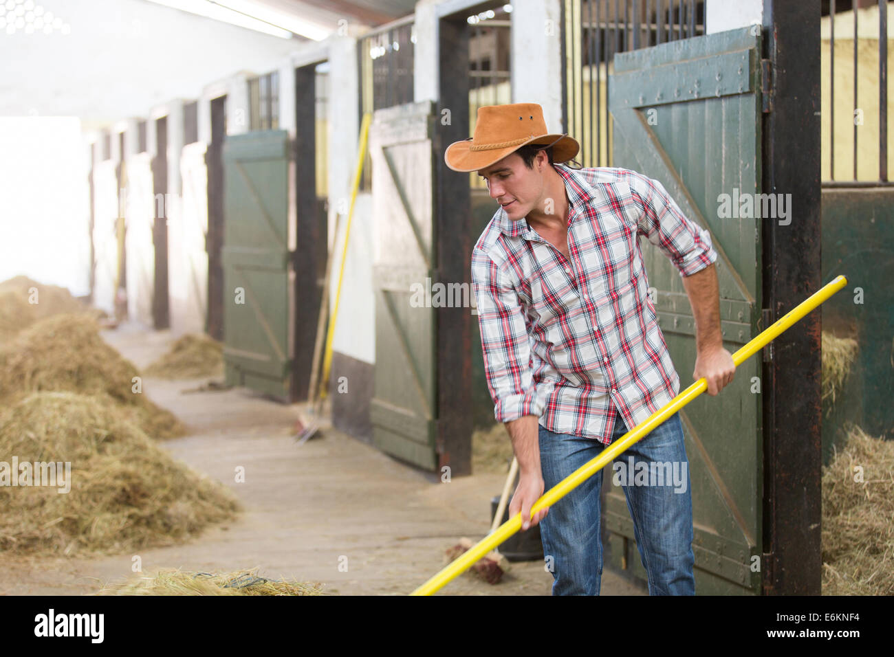 cowboy working in a horse stable Stock Photo - Alamy