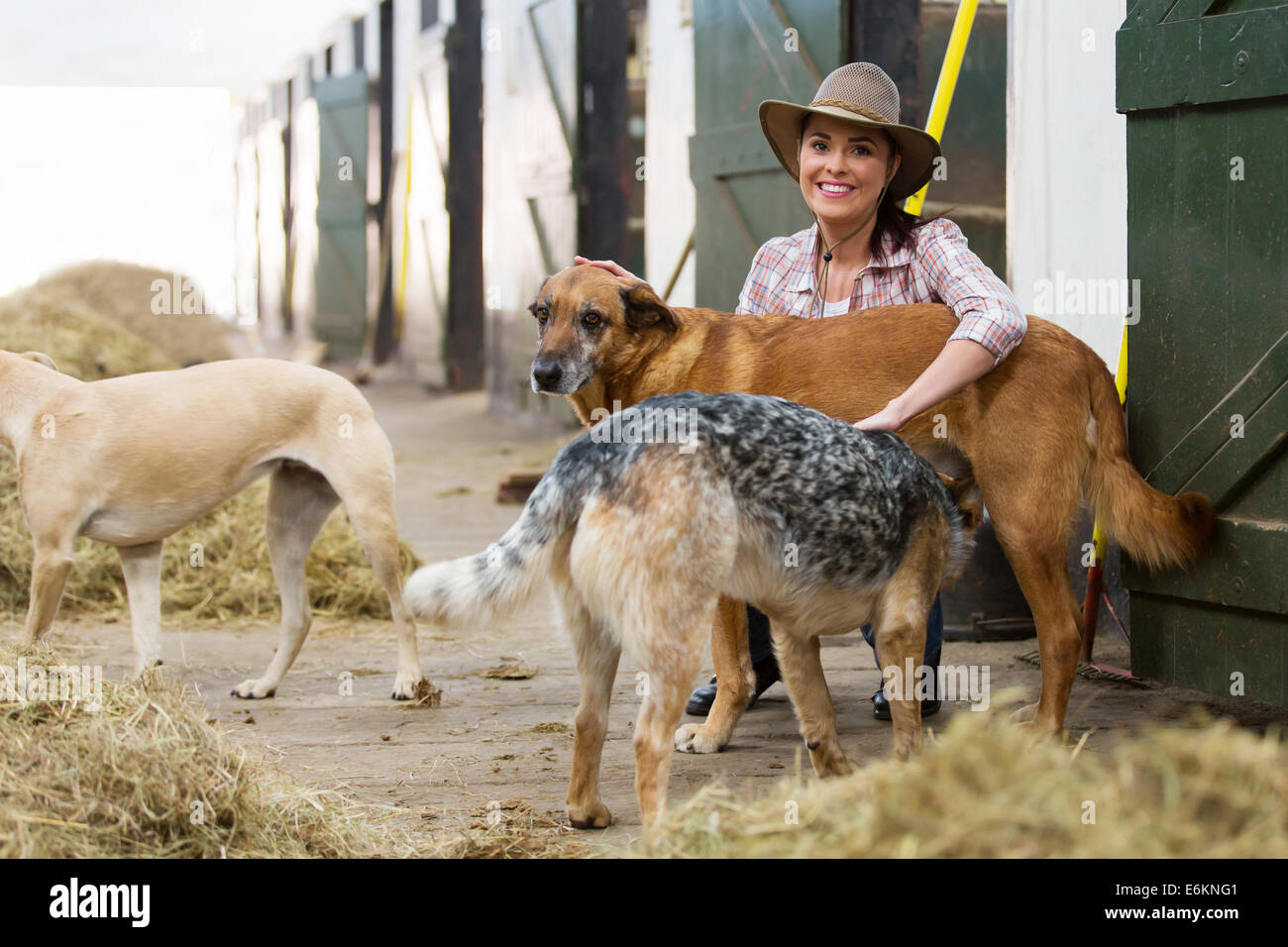 cheerful horse stables owner and dogs indoors Stock Photo - Alamy