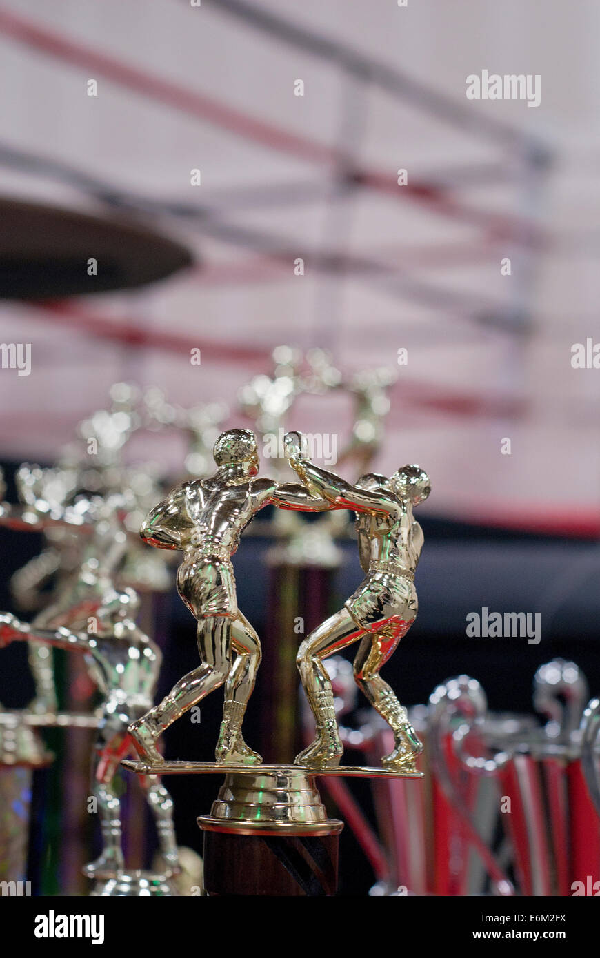 Close-up of boxing trophies Stock Photo - Alamy