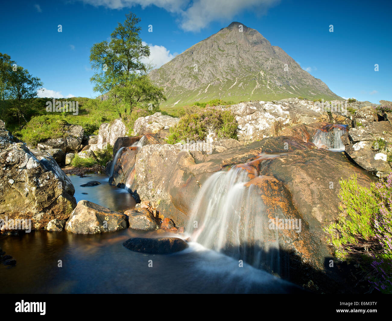Summer at buachaille Etive Mor Stock Photo - Alamy