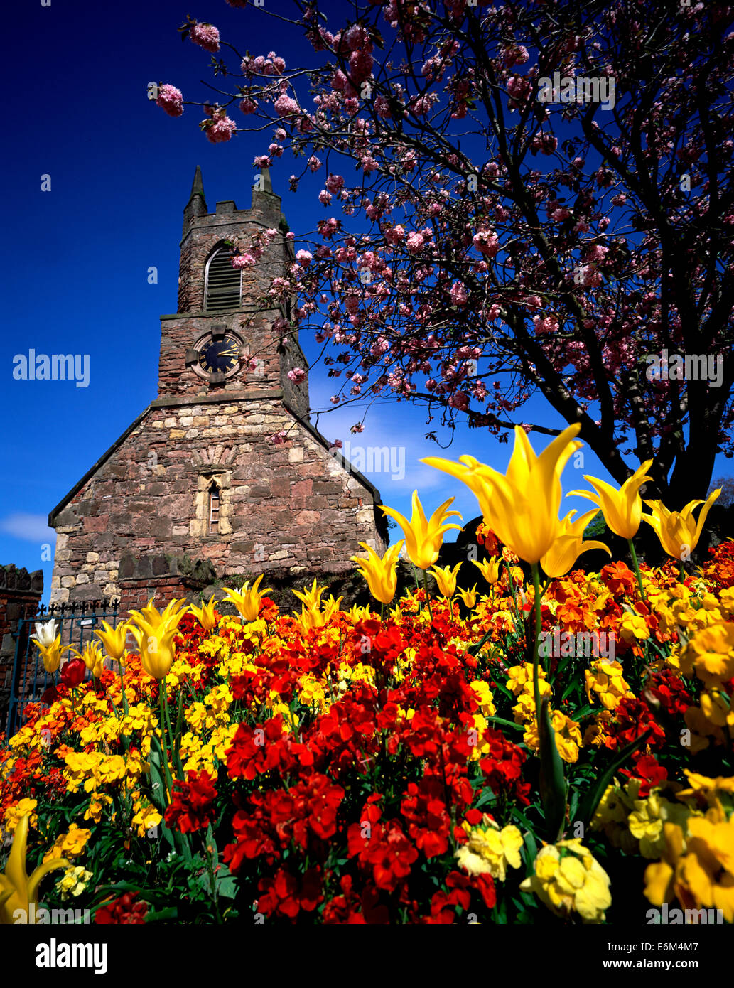 Spring flowers at the Priory, Holywood, Co. Down, Northern Ireland ...