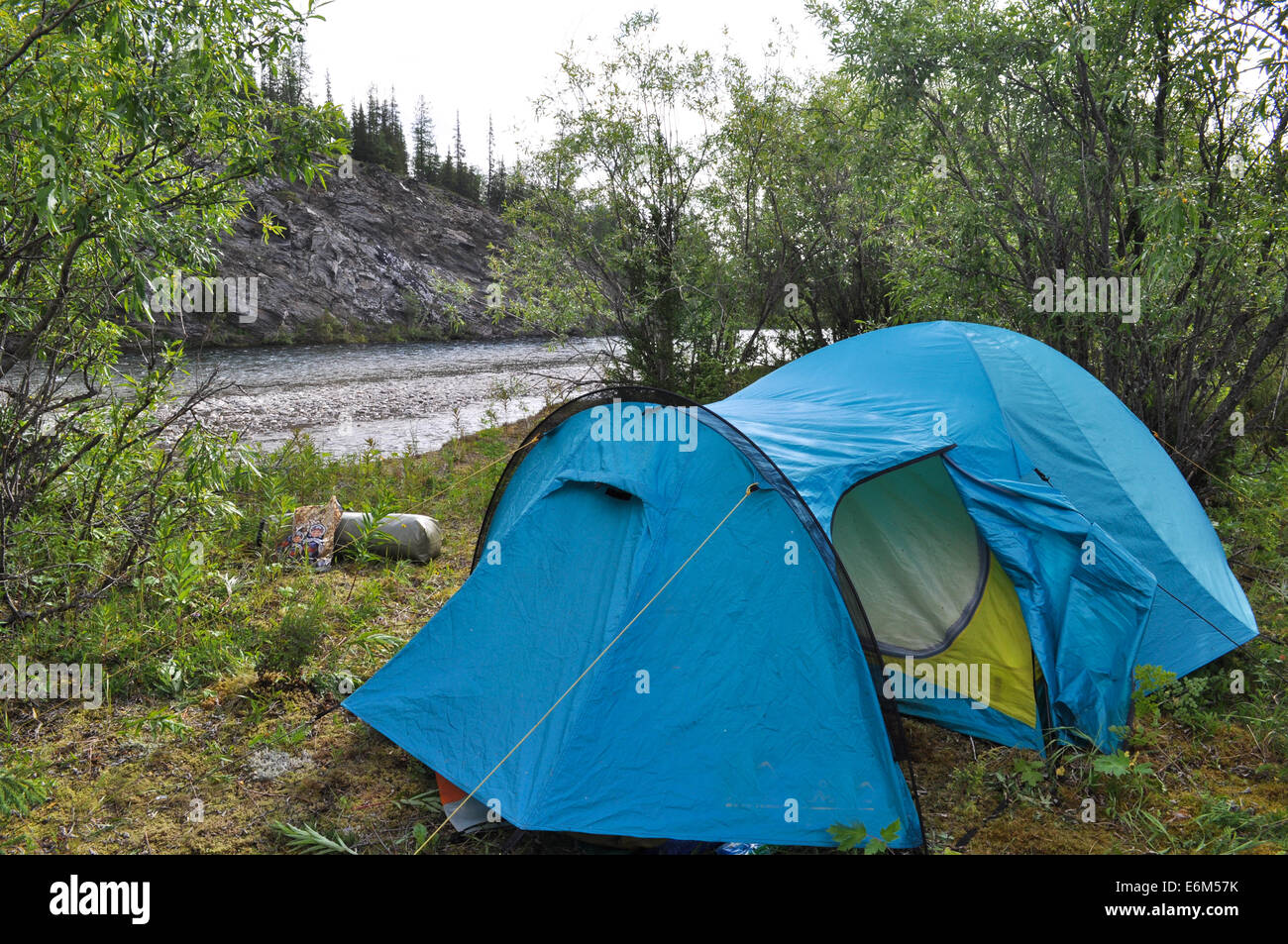 Camping tent installed in the willow bushes in front of the cliff on ...