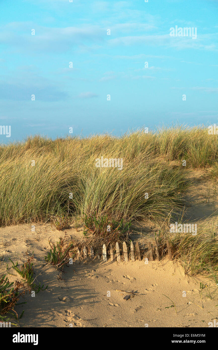 Fromentine vendee france Stock Photo - Alamy