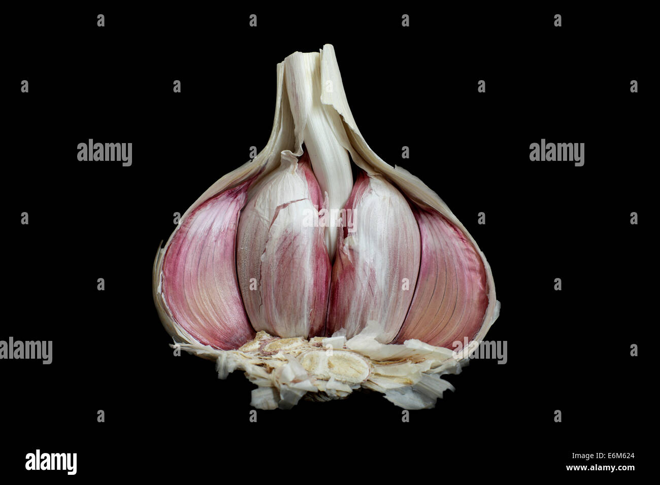 Half a bulb of garlic, showing individual cloves Stock Photo - Alamy