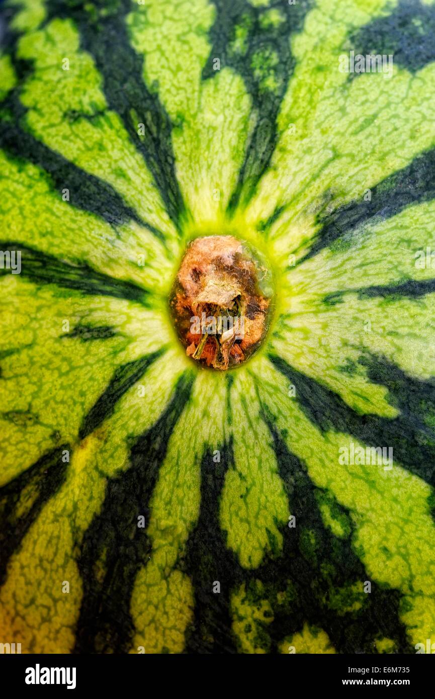 Melon Skins High Resolution Stock Photography and Images - Alamy