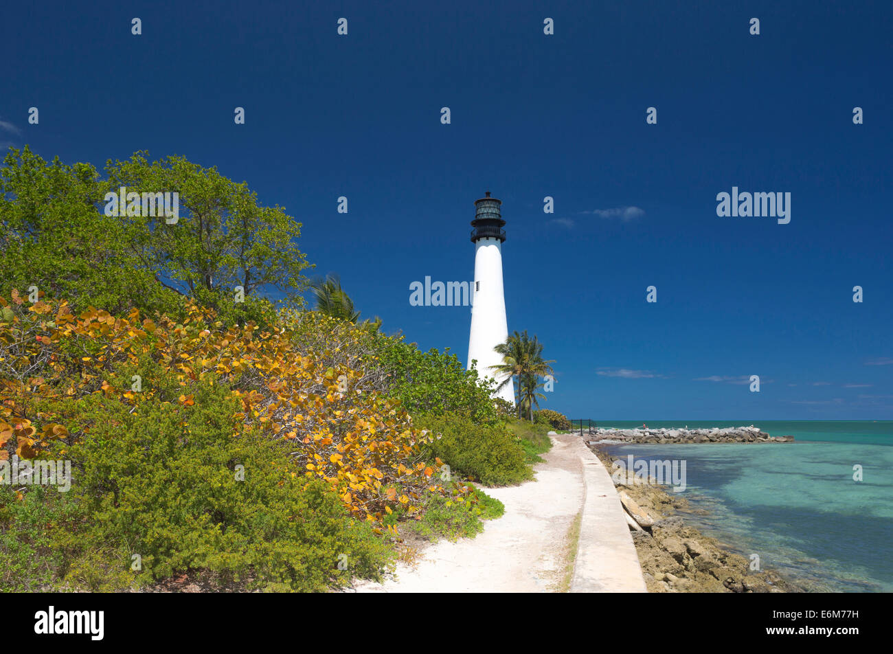 SEA GRAPE KEY BISCAYNE LIGHTHOUSE BILL BAGGS CAPE FLORIDA STATE PARK ...