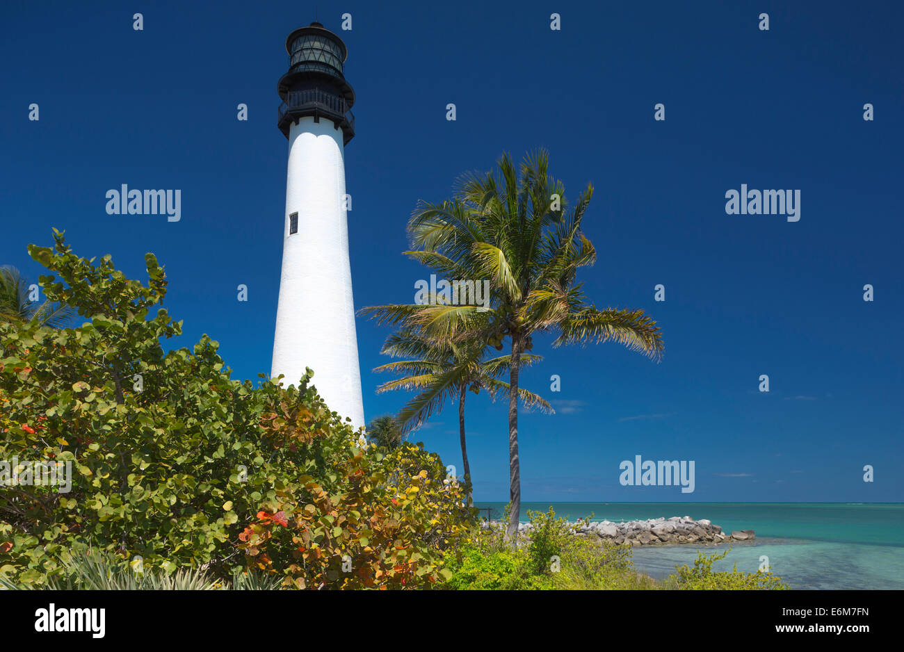 PALM TREES LIGHTHOUSE CAPE FLORIDA STATE PARK COASTLINE BISCAYNE BAY ...