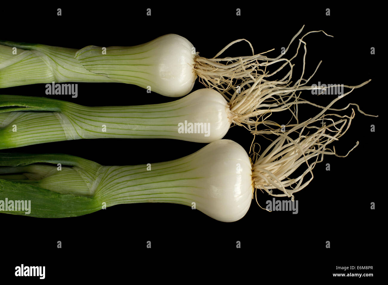 Sticks of onion isolated over black background Stock Photo - Alamy