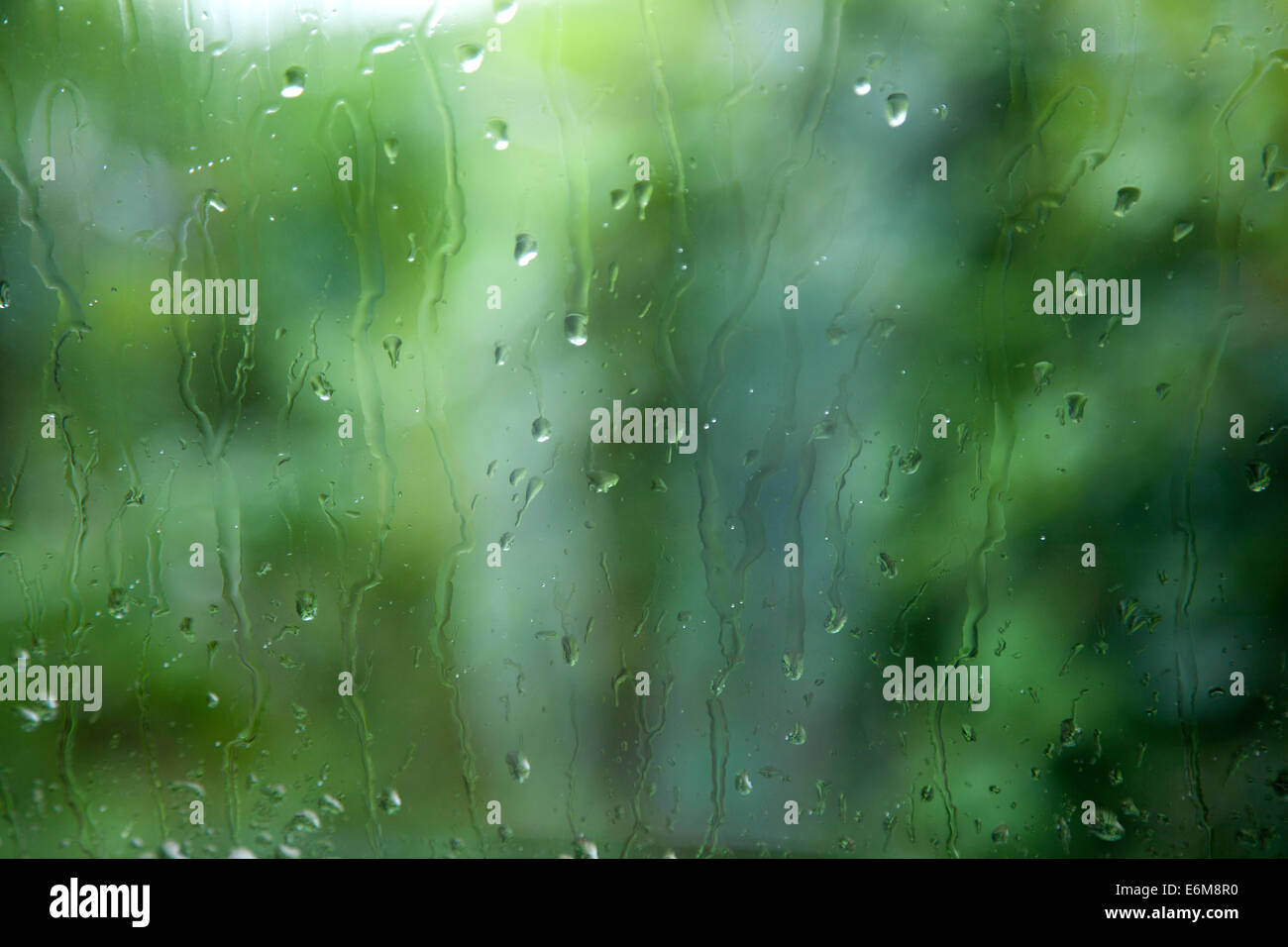 windshield during heavy rain with green out of focus background Stock ...