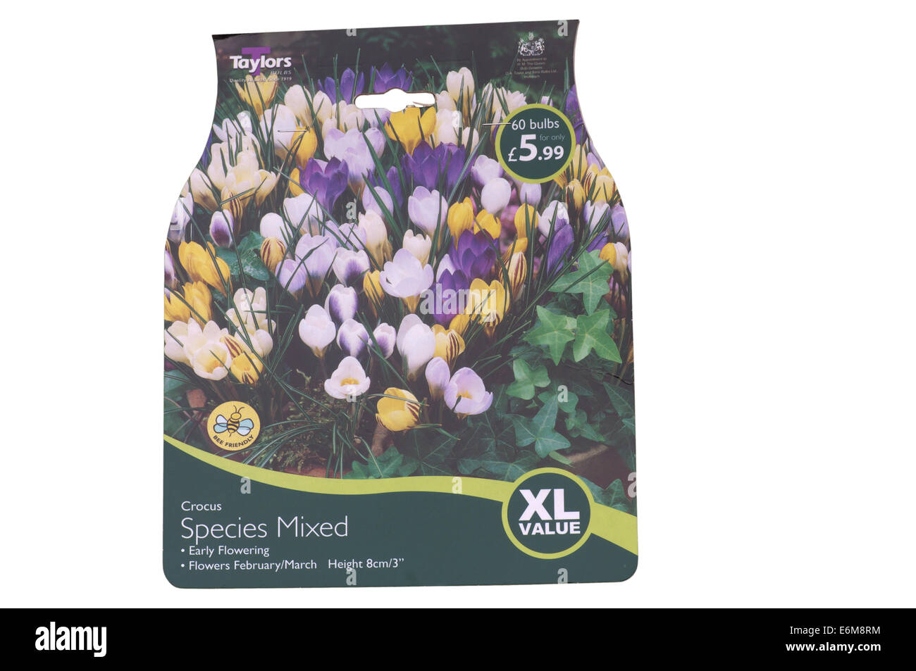 Bag Of Crocus Bulbs Stock Photo - Alamy