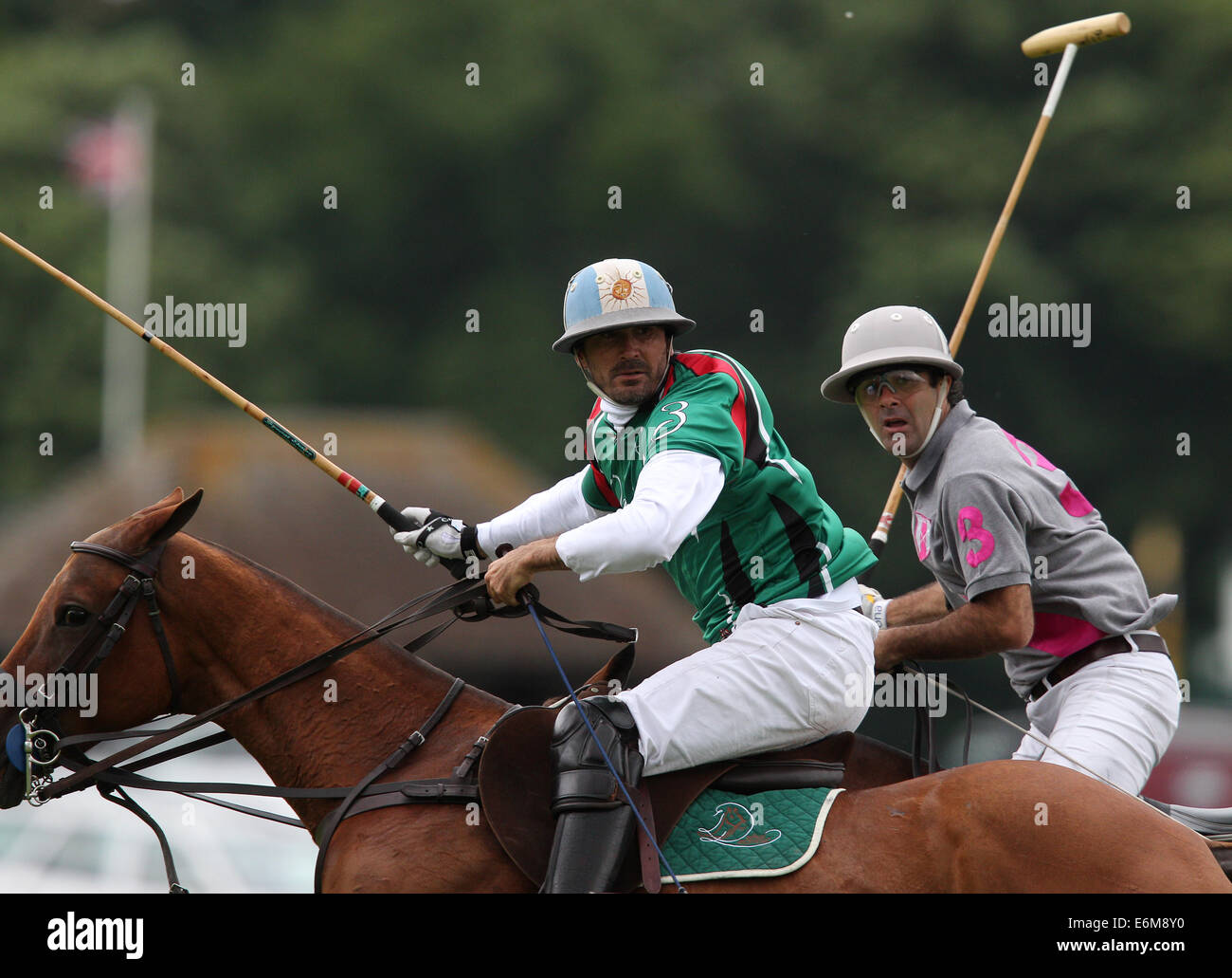 Pony nero hi-res stock photography and images - Alamy
