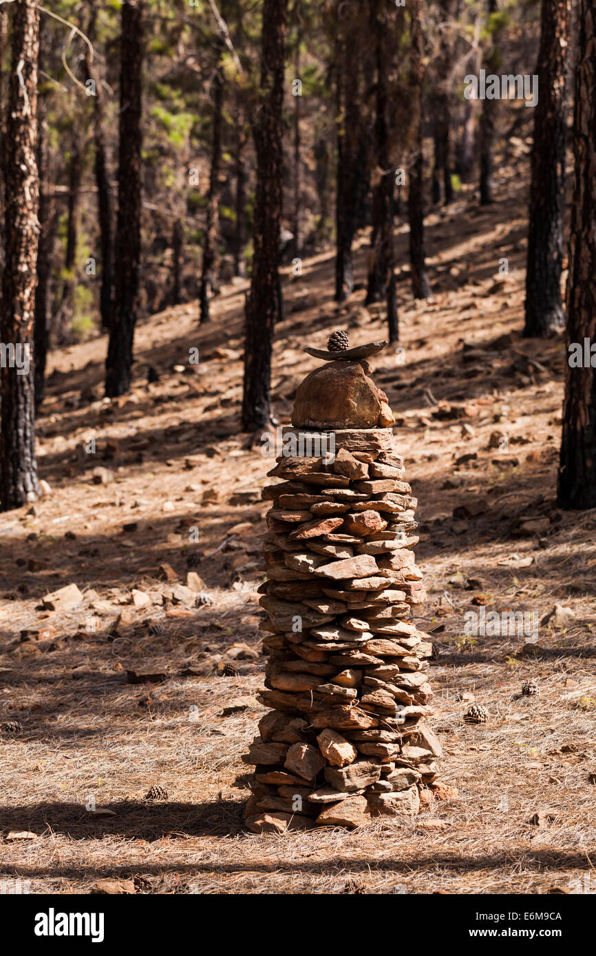 Stone cairns built by walkers to mark the way on a forest path near ...