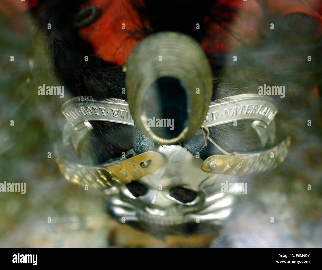 German skull hi-res stock photography and images - Alamy