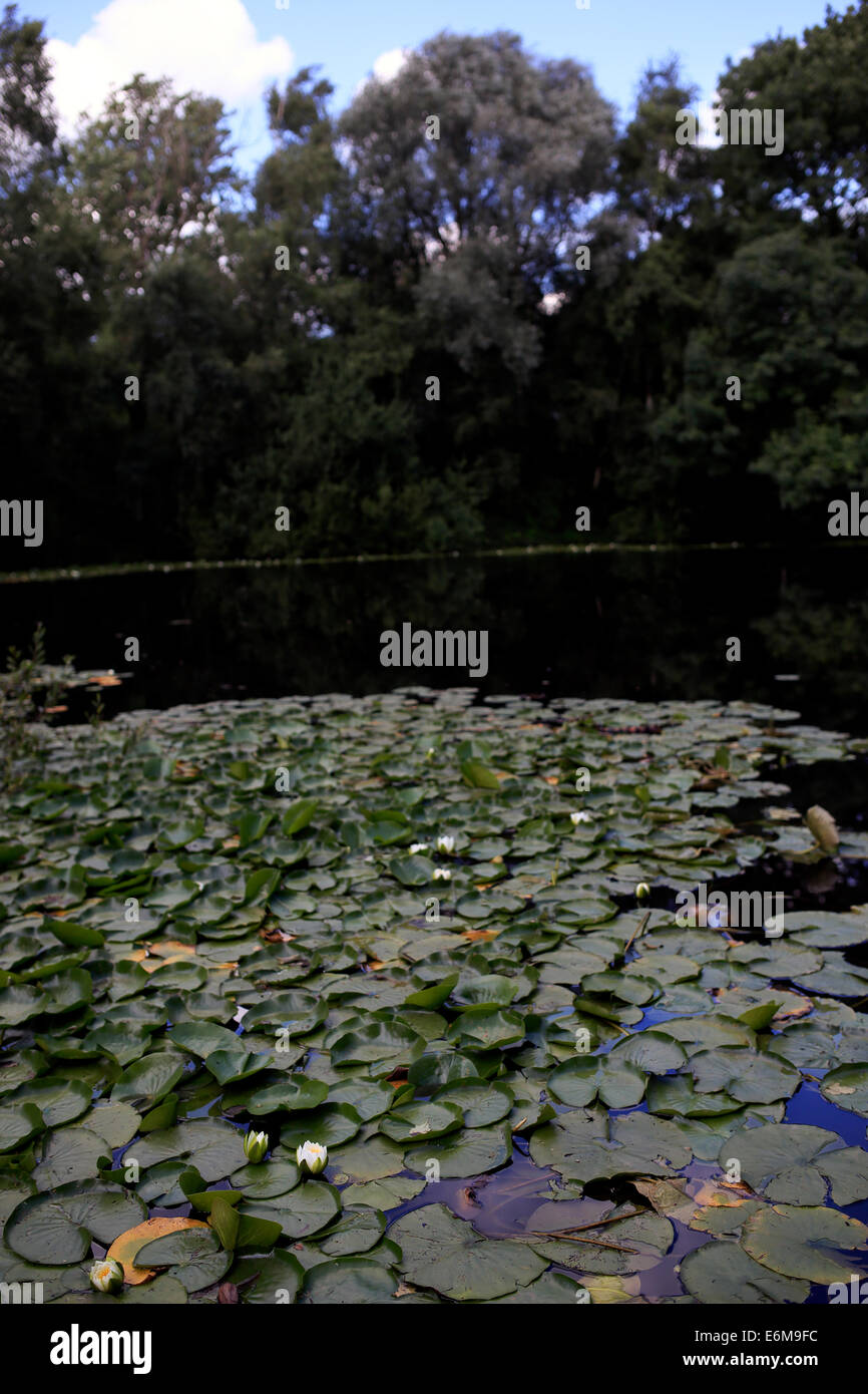Crater water war hi-res stock photography and images - Alamy