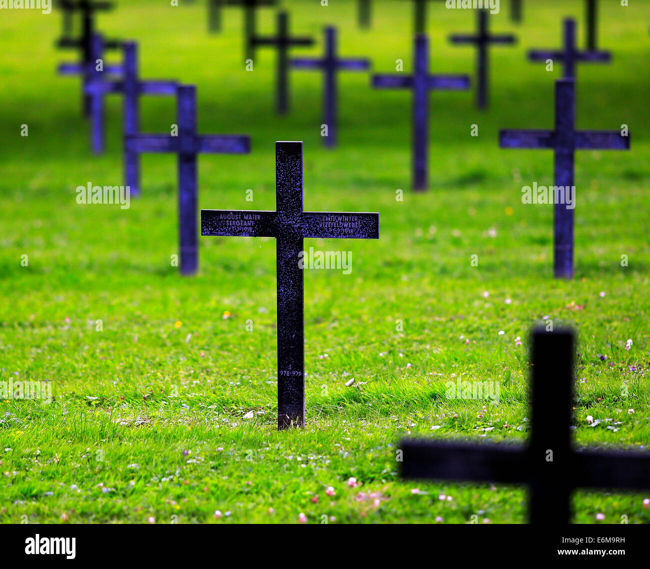 Ww1 cemetery crosses hi-res stock photography and images - Alamy