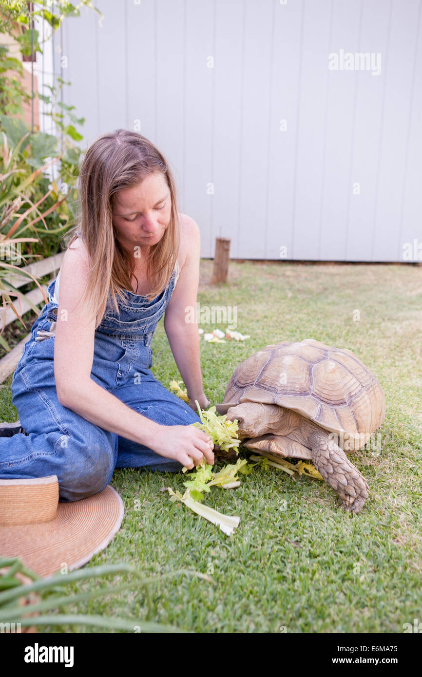 Turtle side view hi-res stock photography and images - Alamy