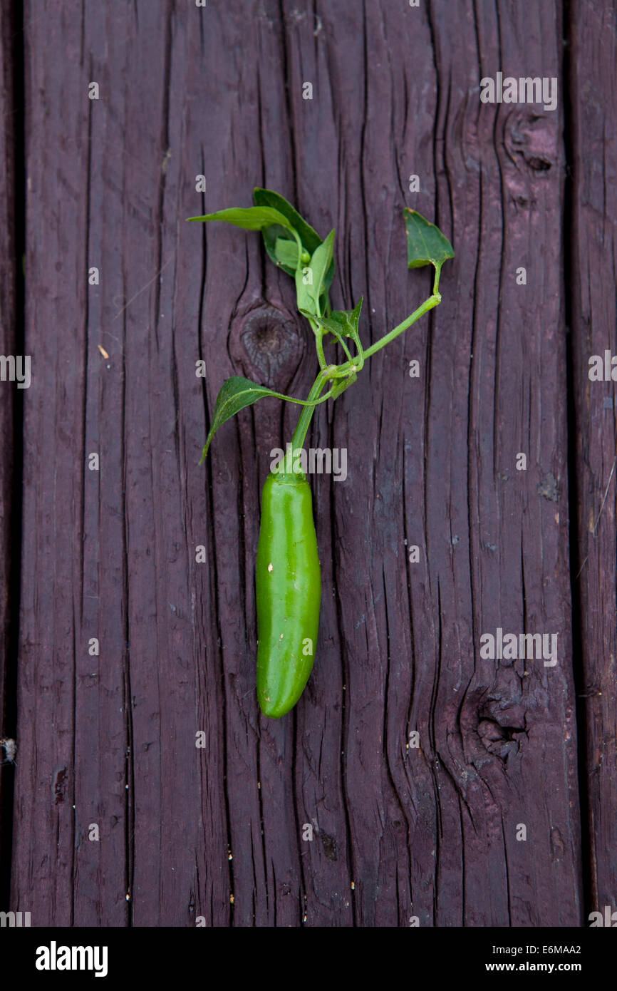 Close-up view of green chili pepper Stock Photo - Alamy