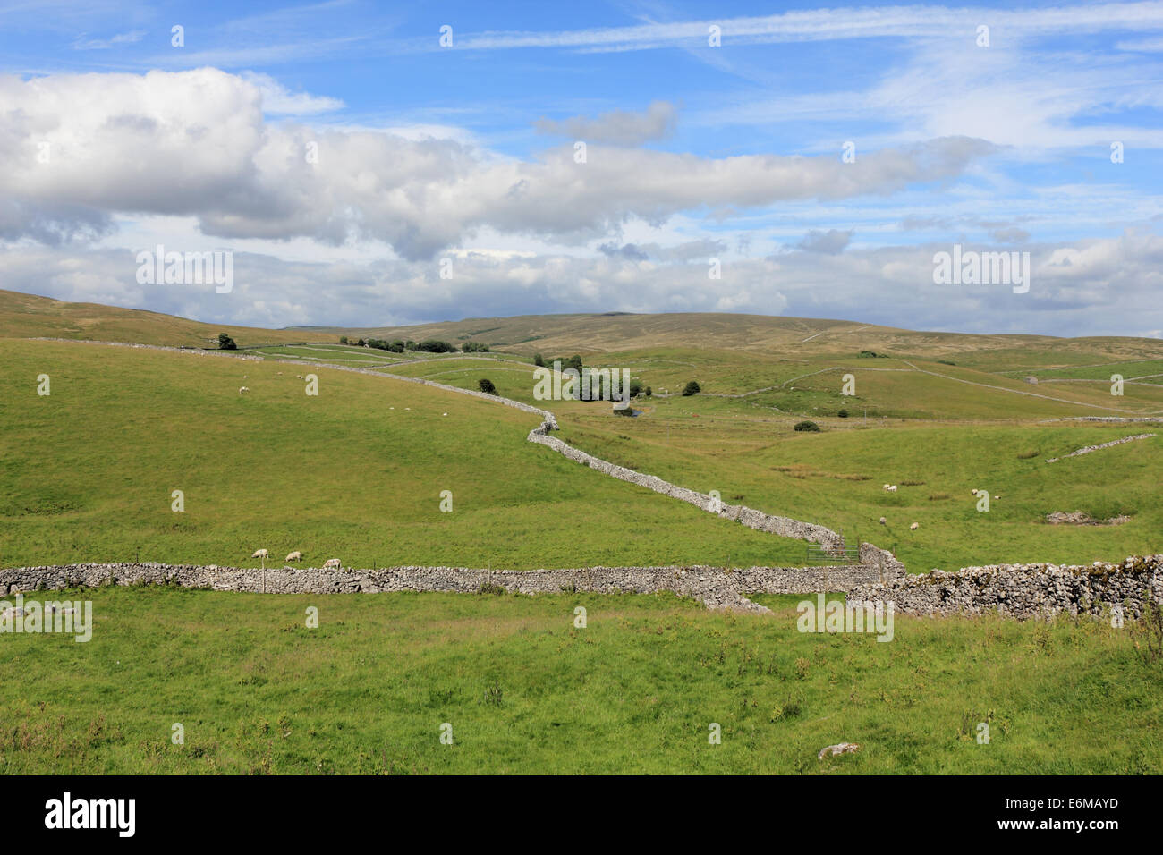 Yorkshire dales dry stone wall hi-res stock photography and images - Alamy