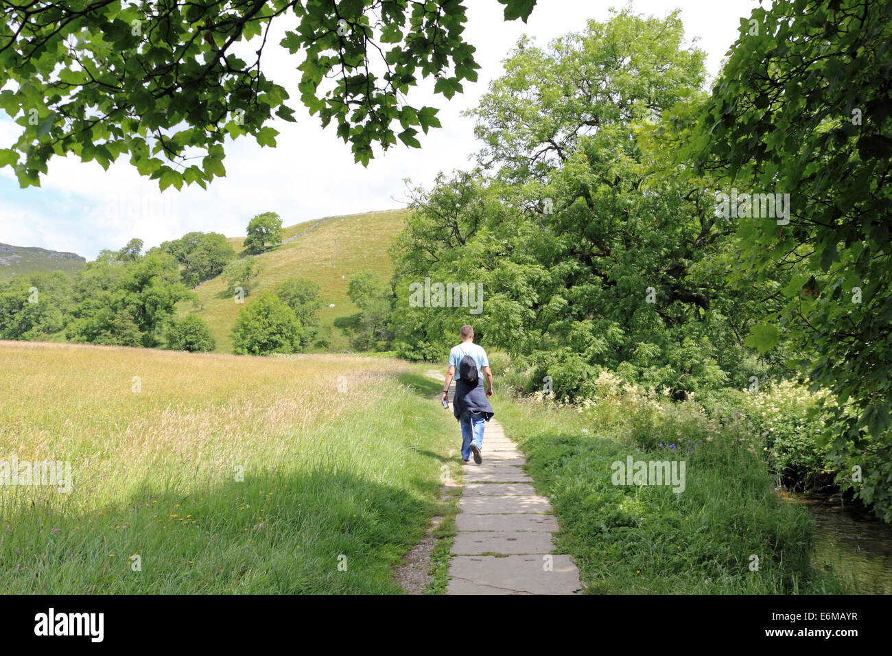 A man walking in the yorkshire dales hi-res stock photography and ...
