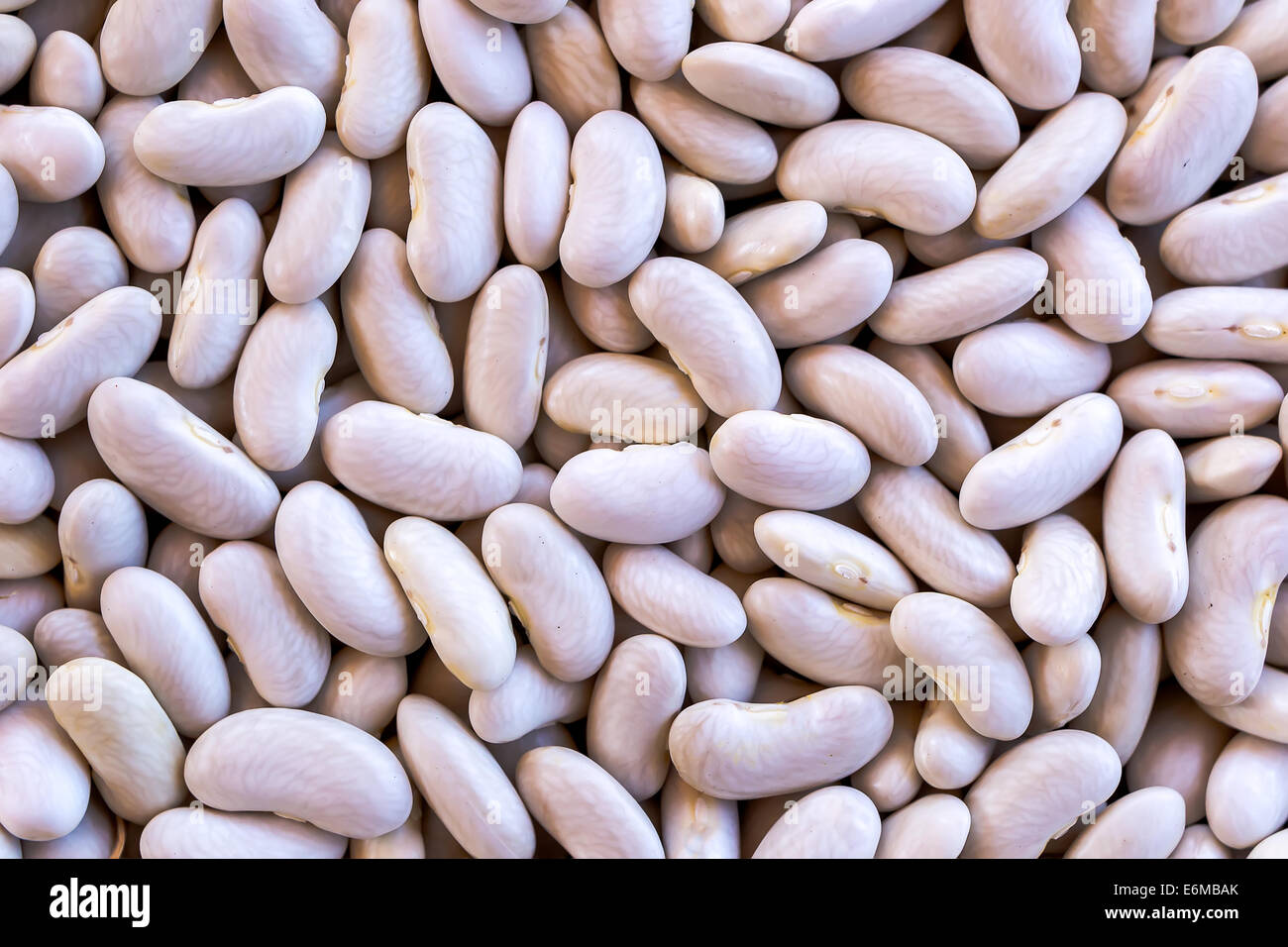 A lot of white beans for background uses Stock Photo - Alamy
