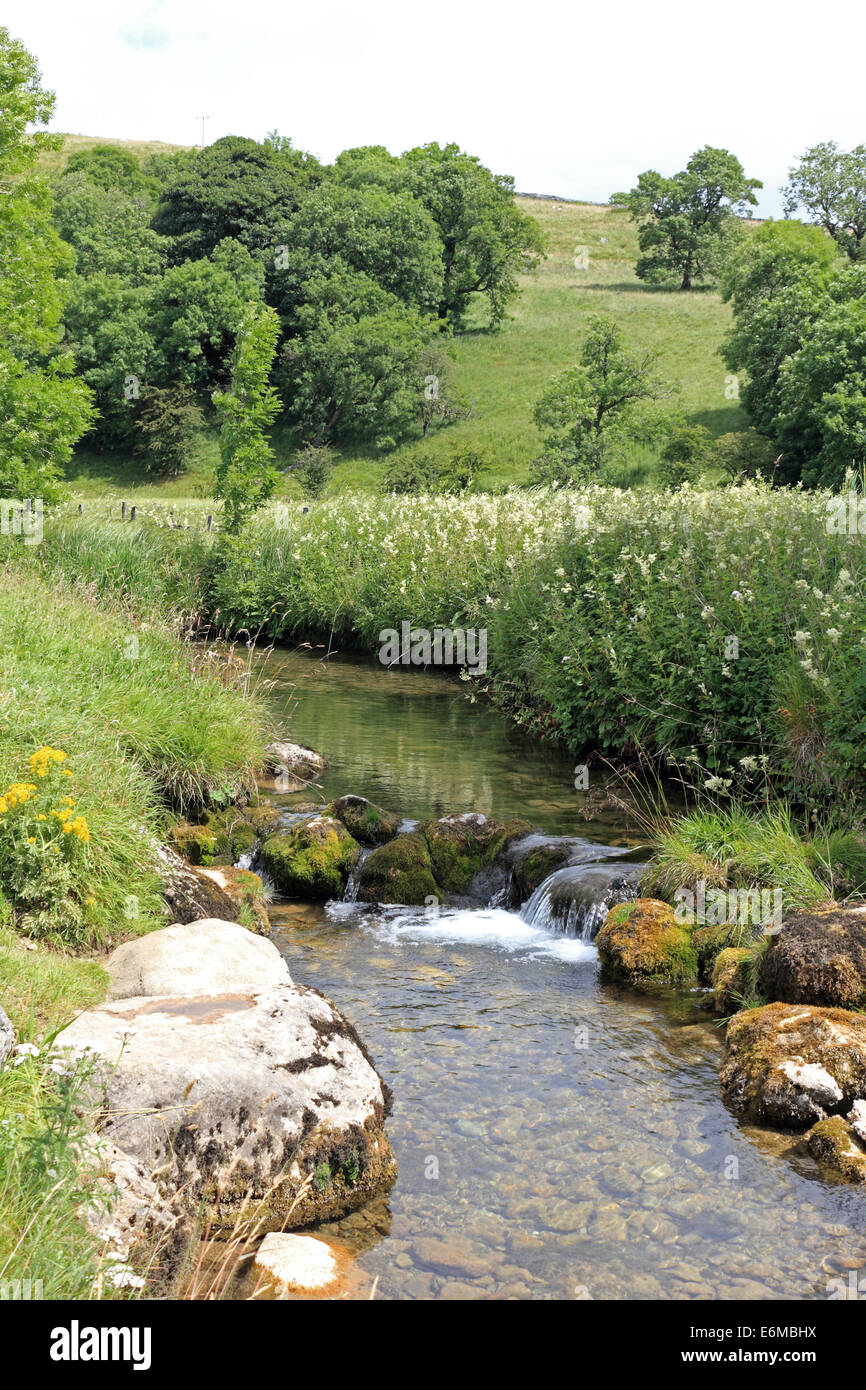 Stream flowing through The Yorkshire Dales, England, UK Stock Photo - Alamy