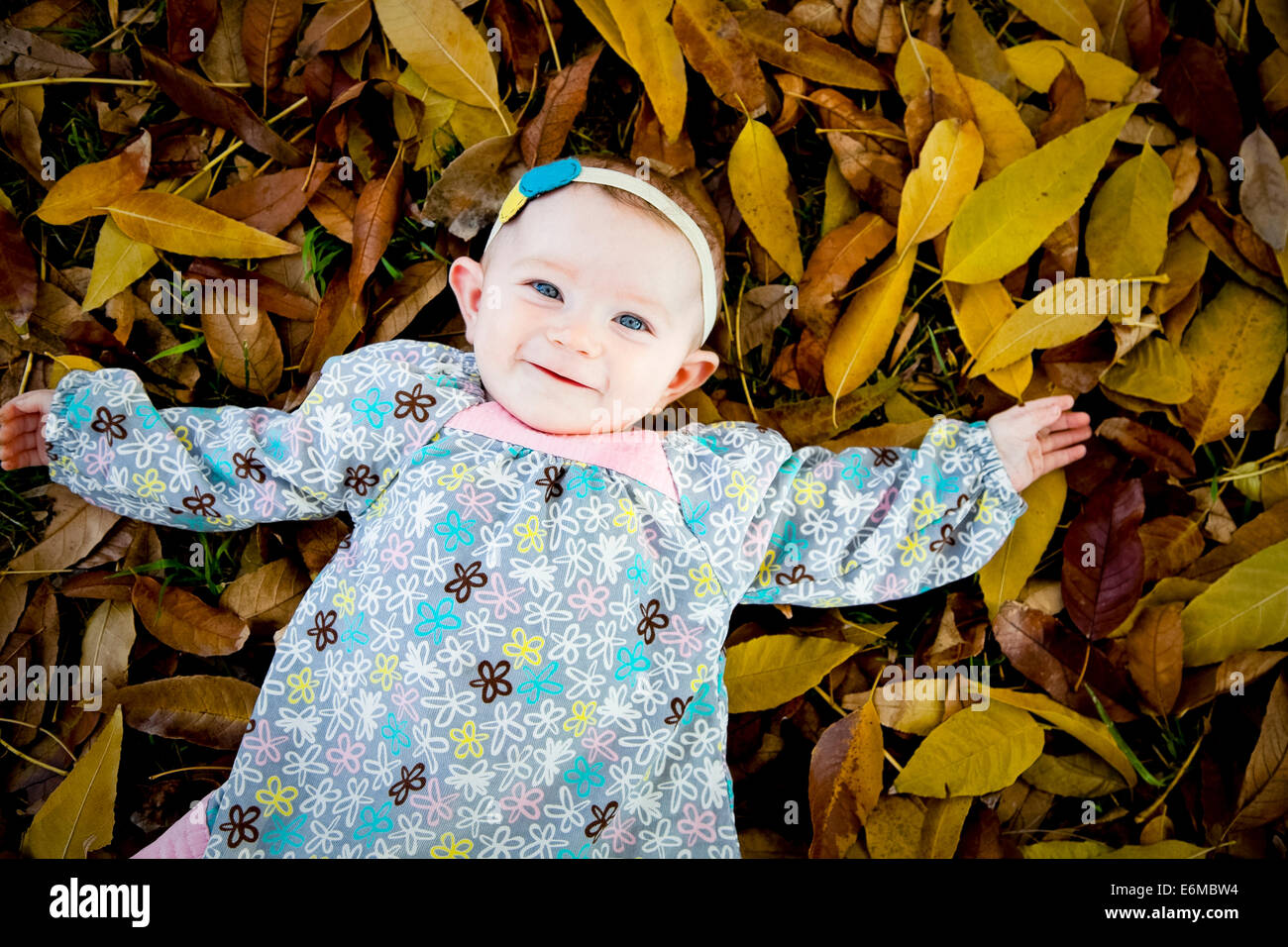 Baby girl (4-5 months) in park Stock Photo - Alamy