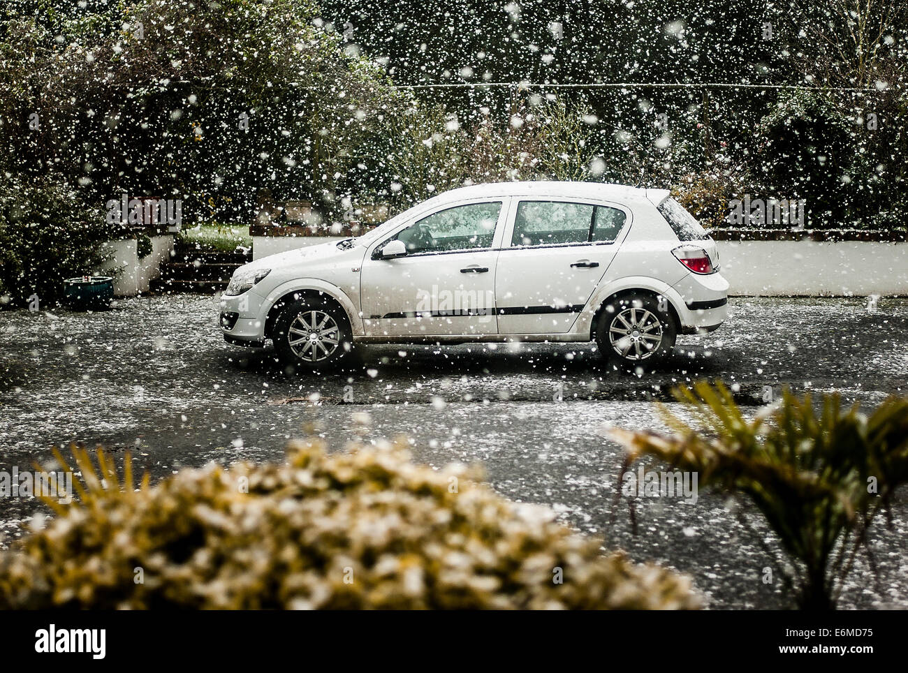 Snow flakes falling in the UK Stock Photo - Alamy