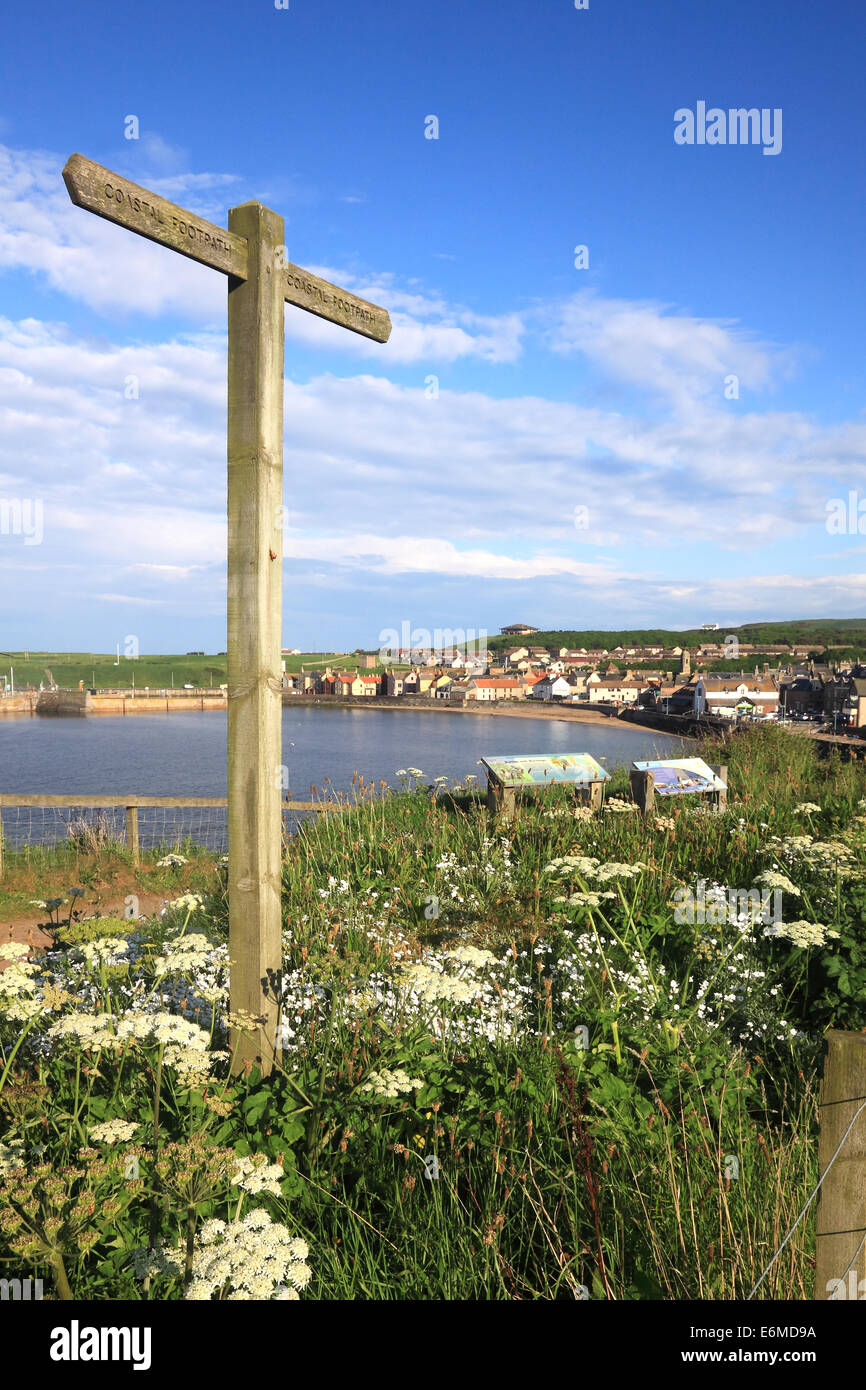 Sign for the Berwickshire Coastal Path above Eyemouth harbour, Scotland ...