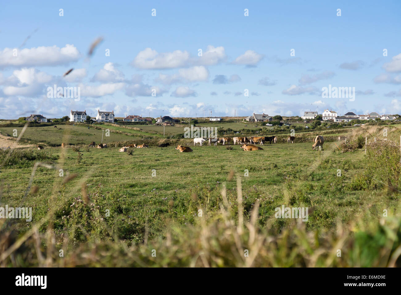The Lizard Peninsula Cornwall england UK Lizard village Stock Photo - Alamy