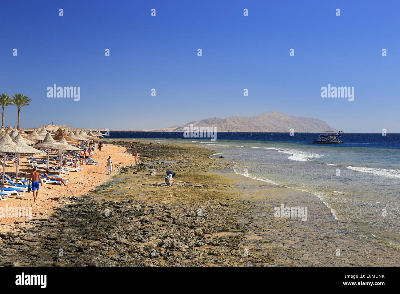 Beach in Sharm el Sheikh Stock Photo - Alamy